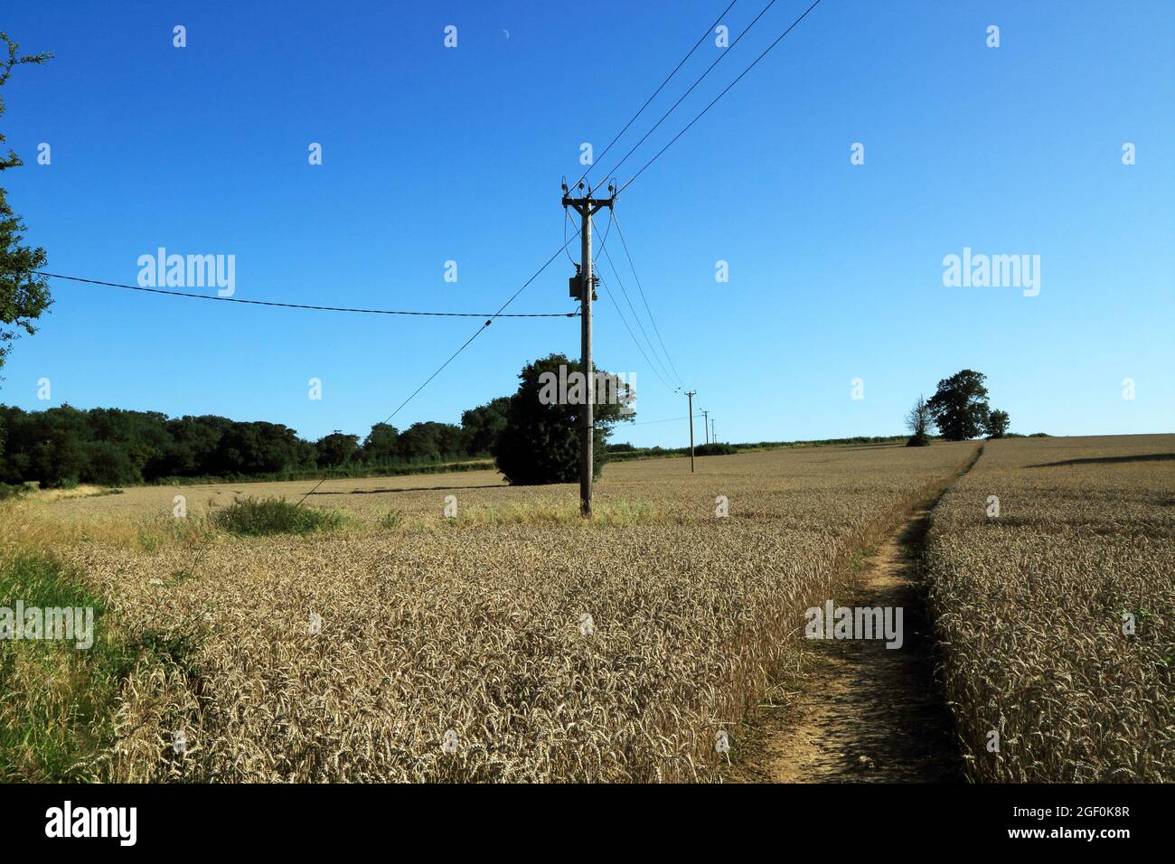 Footpath and view across wheat field with electricity pilon from Smeed ...