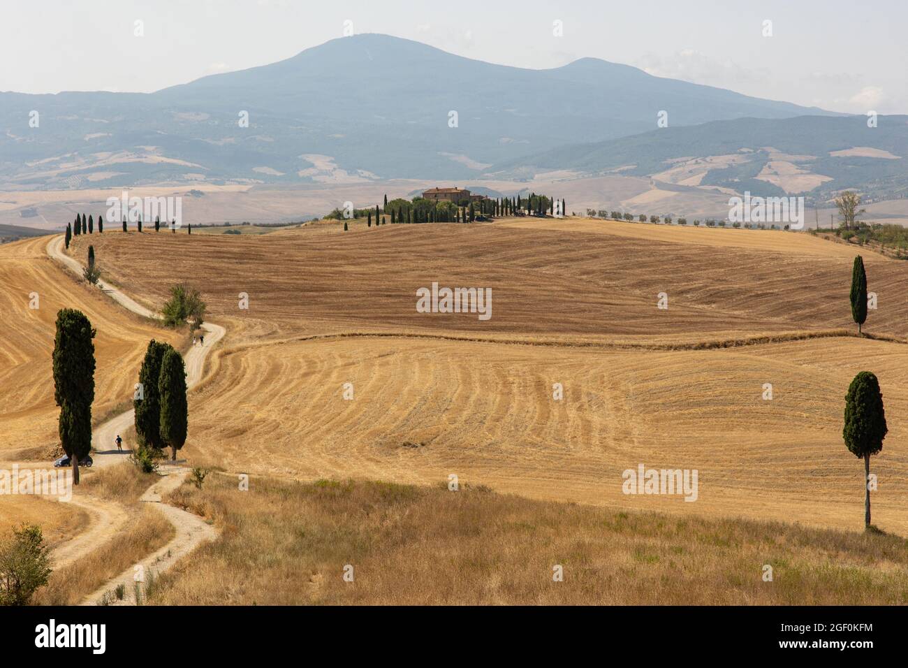 Gladiator road and Cypress Pienza Tuscany Stock Photo - Alamy