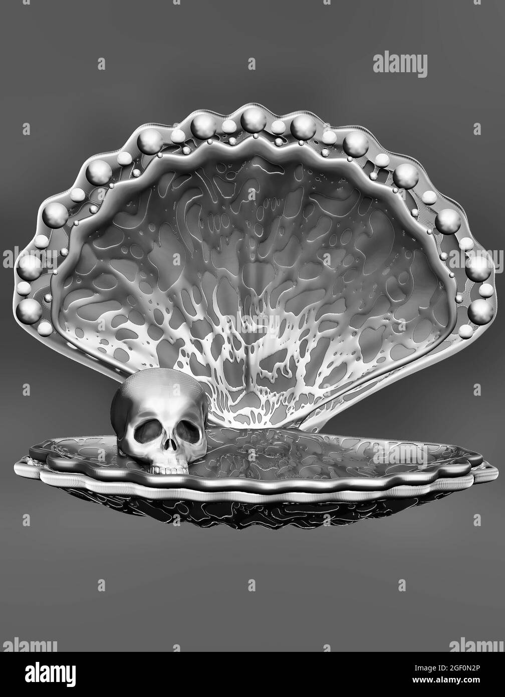 Illustrations shell, jewelry, jewelry shell, art Stock Photo - Alamy