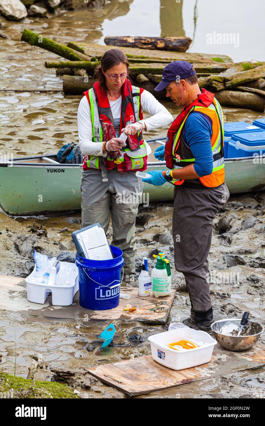 Scientist water sample river hi-res stock photography and images - Alamy
