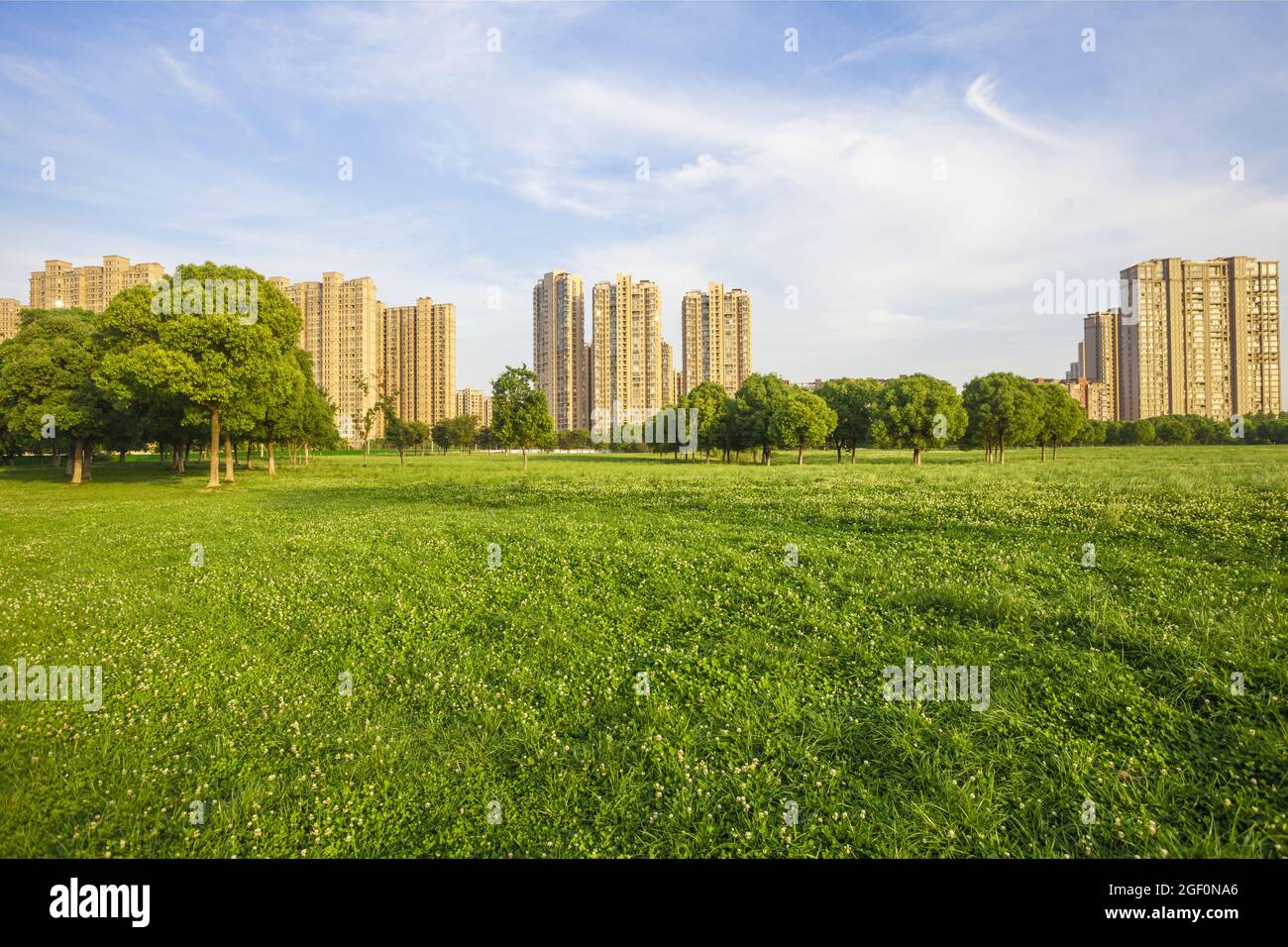 The grass and architecture Stock Photo - Alamy