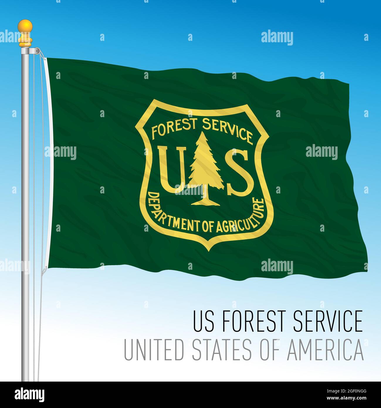 US Forest Service flag, United States of America, vector illustration ...