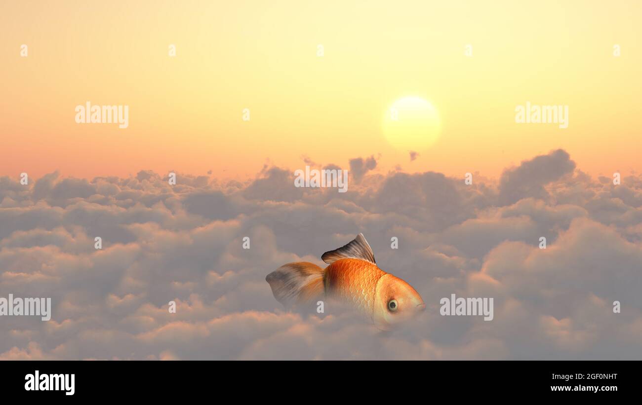 Golden fish in clouds. 3D rendering Stock Photo - Alamy
