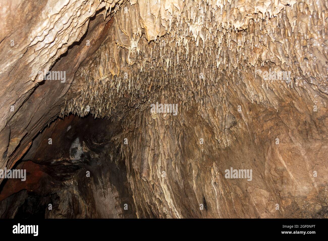 Cave stalactites and formations in Bat cave at Hymettus, Greece Stock ...
