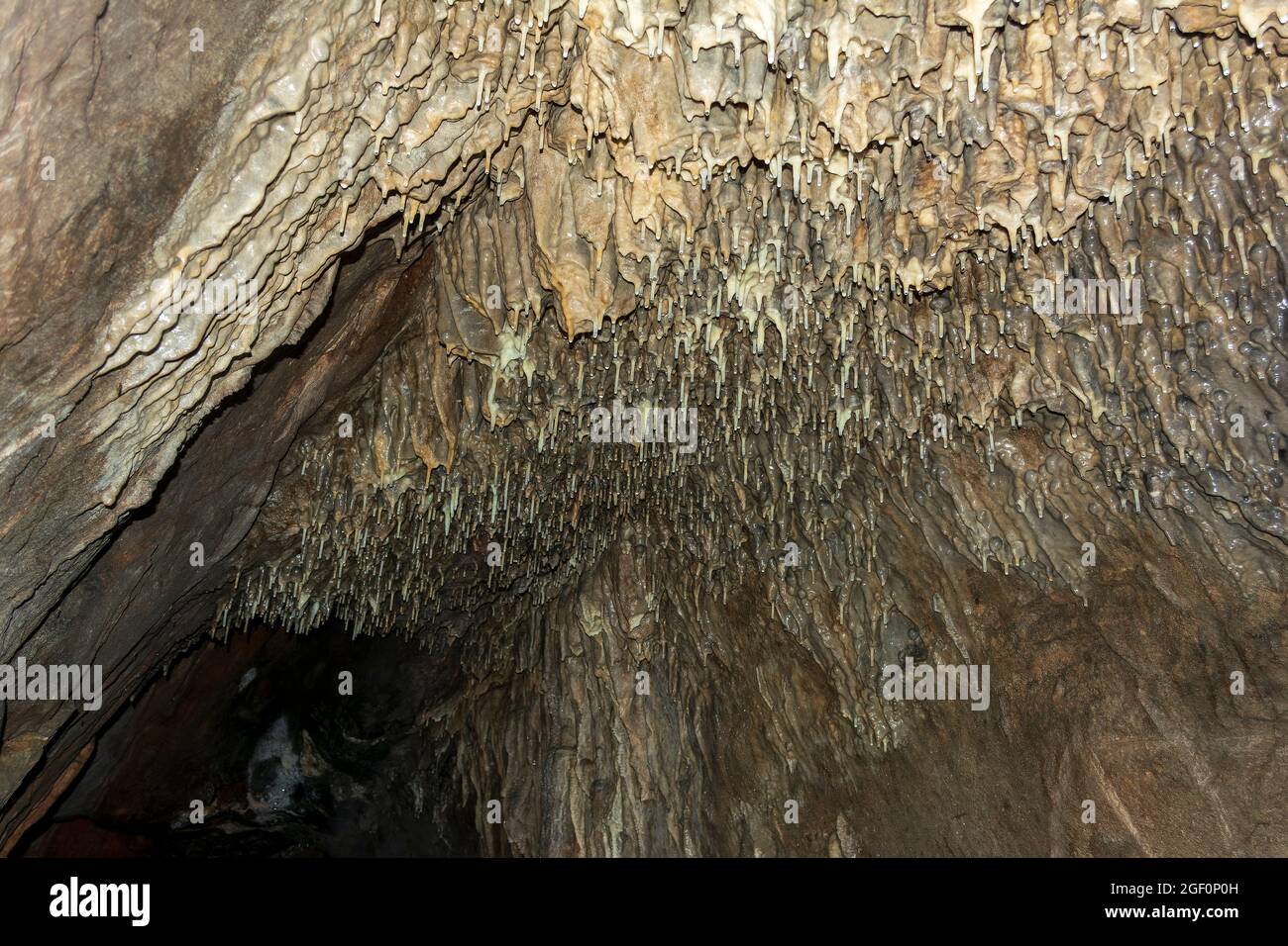 Cave stalactites and formations in Bat cave at Hymettus, Greece Stock ...