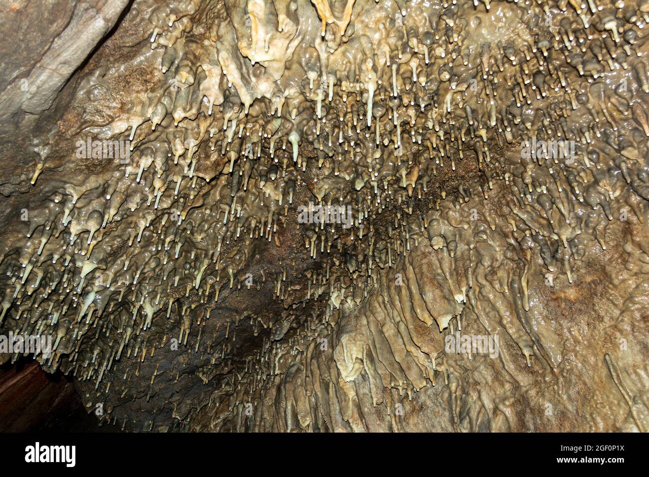 Cave stalactites and formations in Bat cave at Hymettus, Greece Stock ...