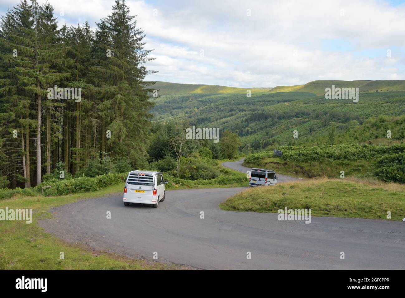 Talybont forest hi-res stock photography and images - Alamy