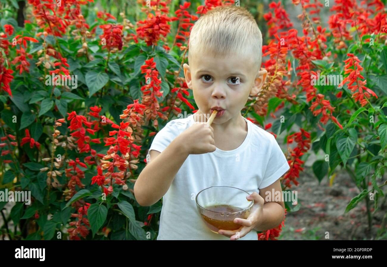 child eats honey in the garden Stock Photo - Alamy
