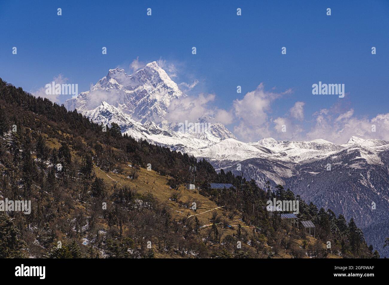 The lulang forest hi-res stock photography and images - Alamy