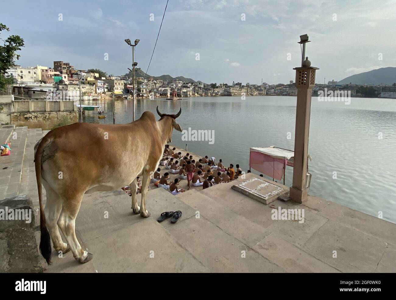 Indian Hindu offering Rituals During "Janai Purnima" festival or ...