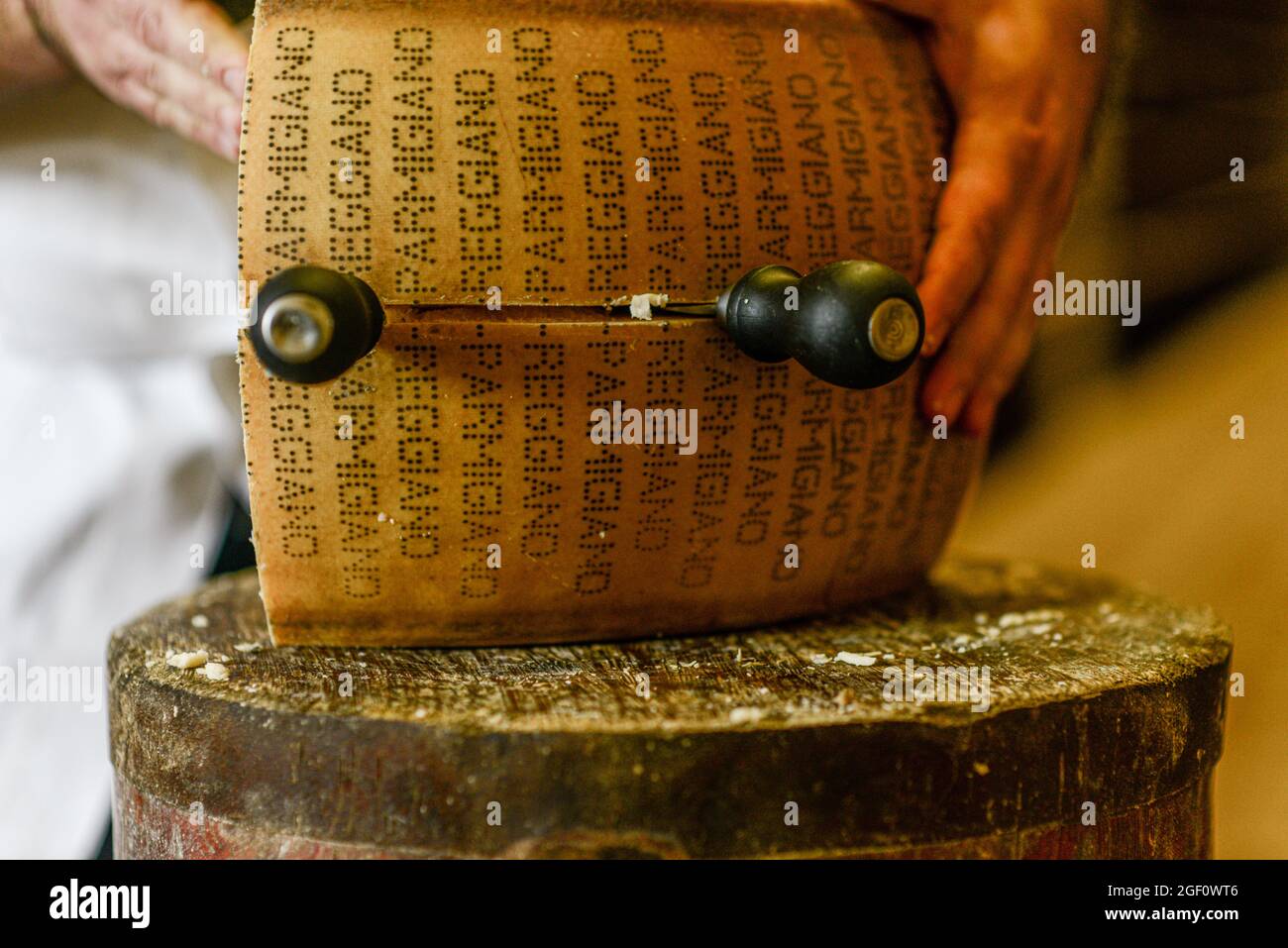 PARMA, ITALY - Jan 18, 2021: A cheese maker cutting parmesan cheese ...
