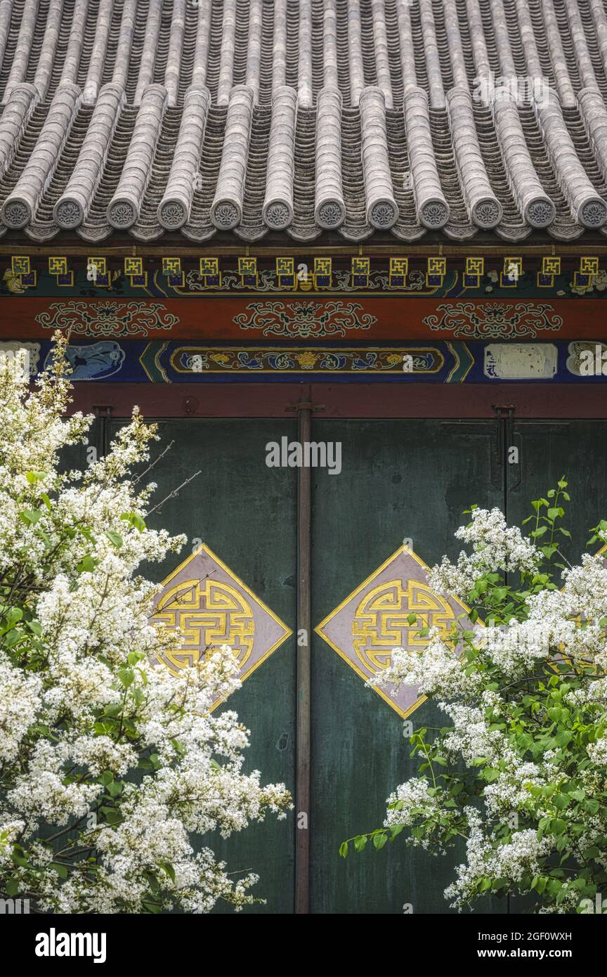 Respectful wang fu hi-res stock photography and images - Alamy