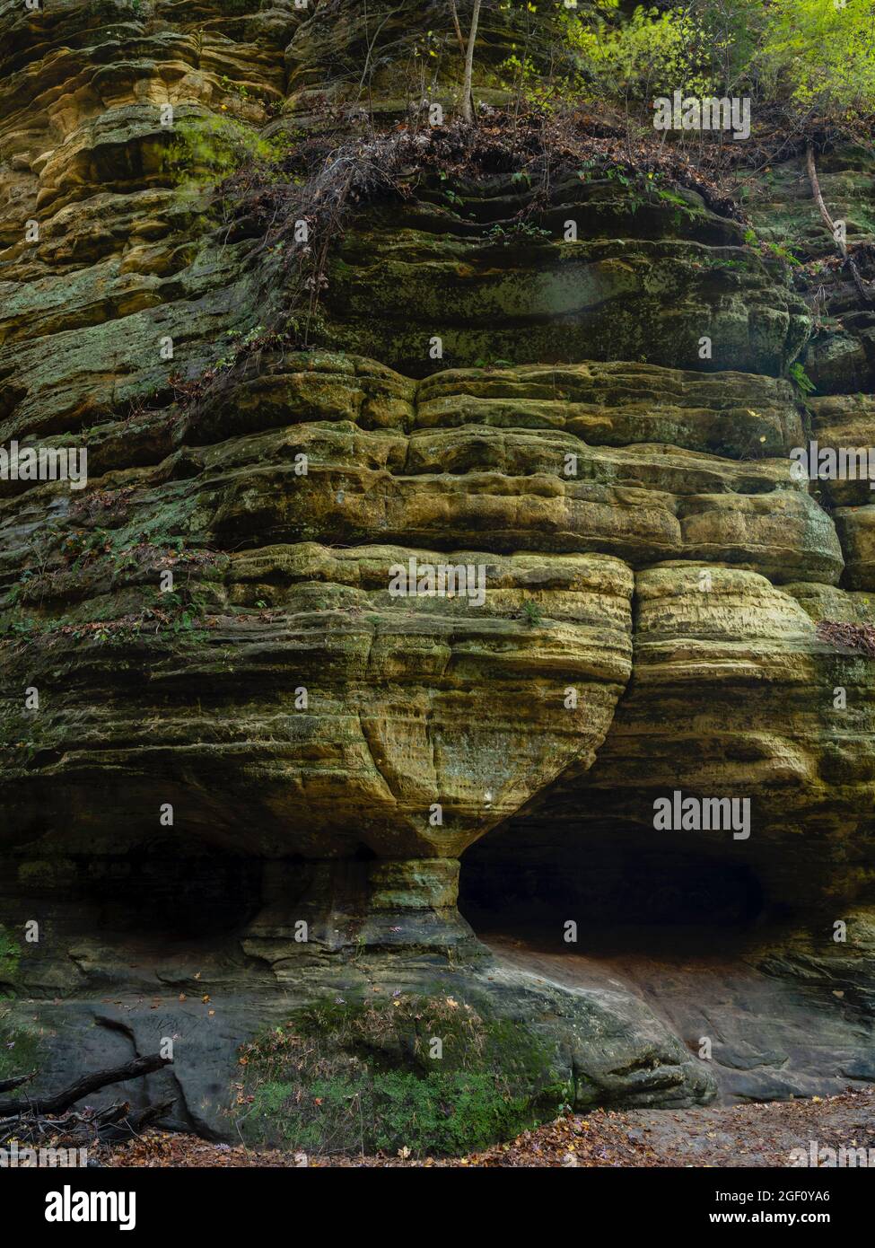St. Louis Canyon/Starved Rock State Park, near Ottawa, Illinois, USA on ...