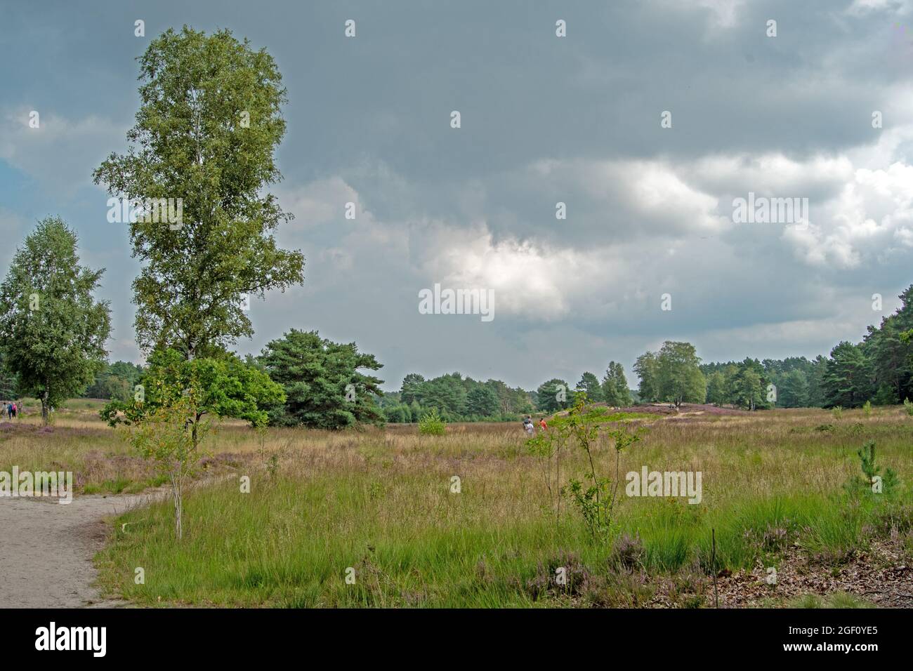 Von der heide hi-res stock photography and images - Alamy