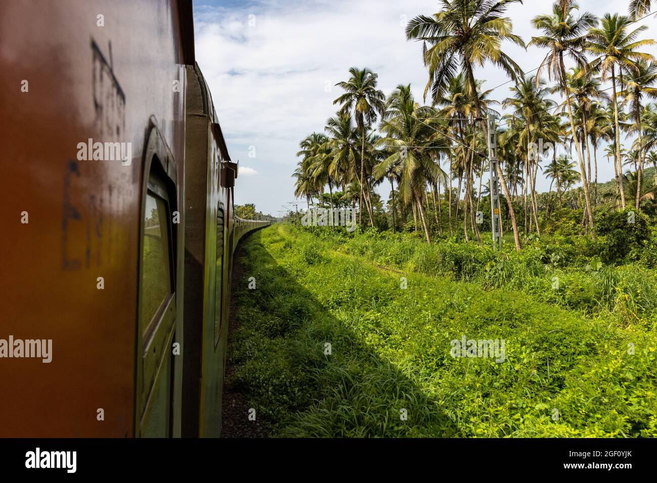 Beautiful green landscape dotted with coconut trees near Verna as seen ...