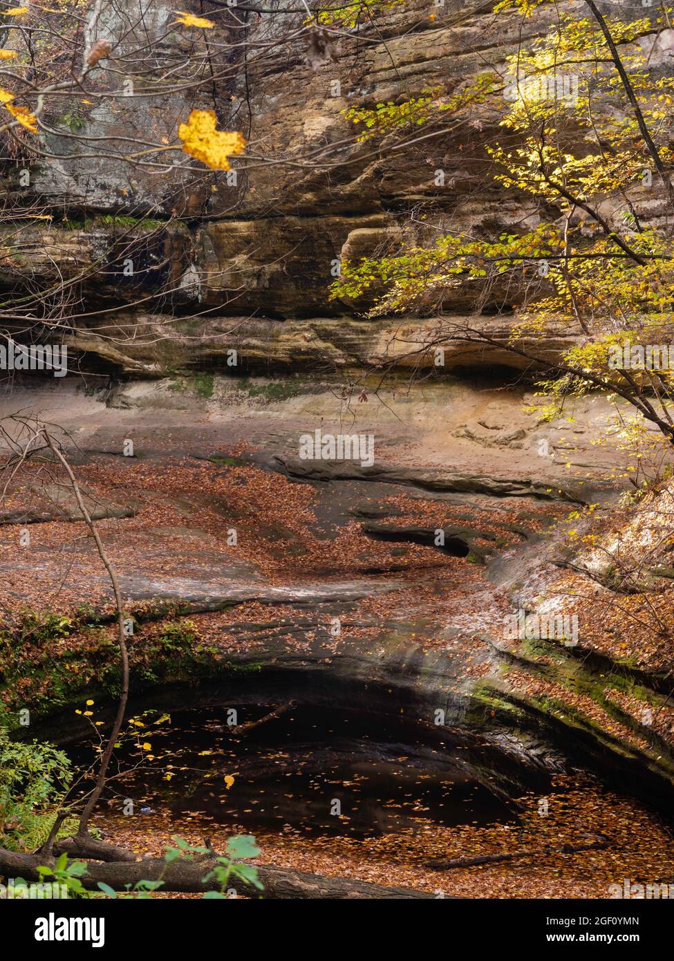LaSalle Canyon, Starved Rock State Park, near Ottawa, Illinois, USA on ...