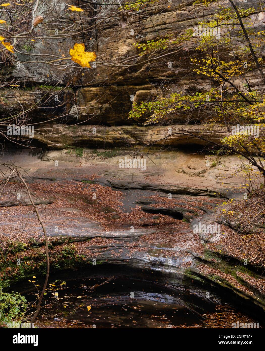 LaSalle Canyon, Starved Rock State Park, near Ottawa, Illinois, USA on ...