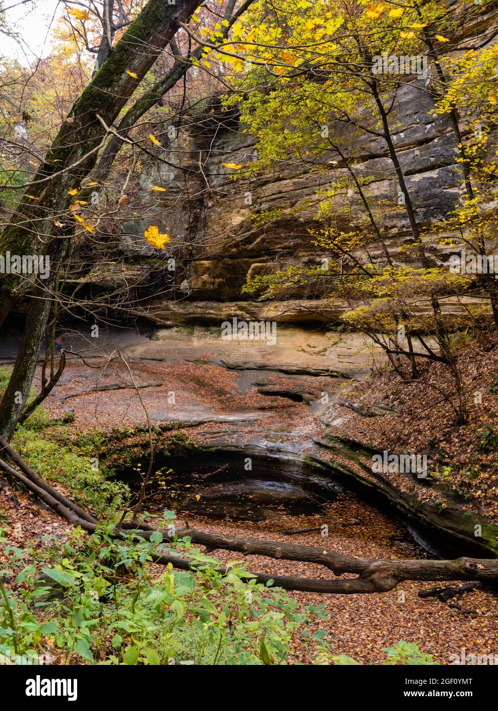 LaSalle Canyon, Starved Rock State Park, near Ottawa, Illinois, USA on ...
