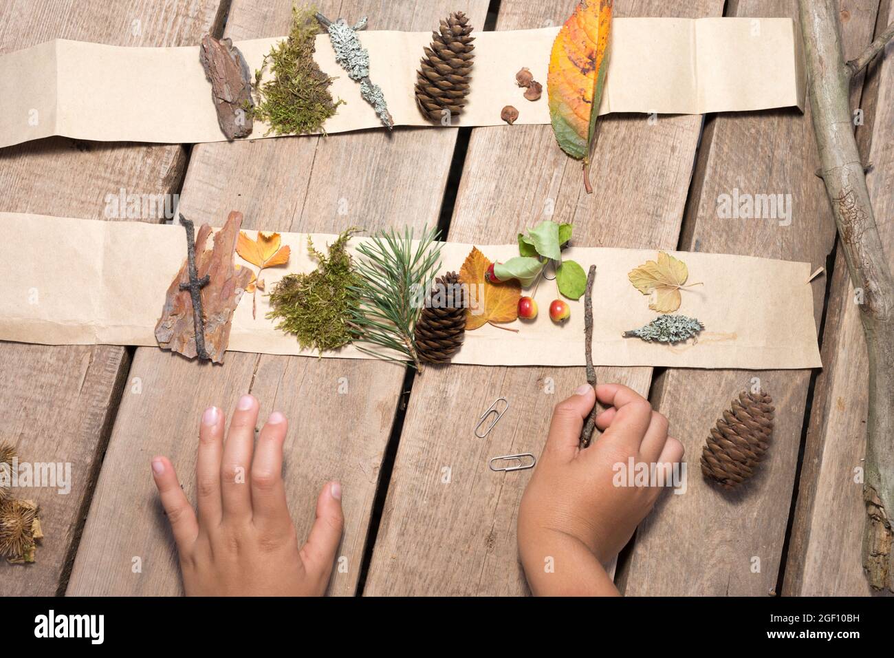 DIY autumn crown project for kids Stock Photo - Alamy