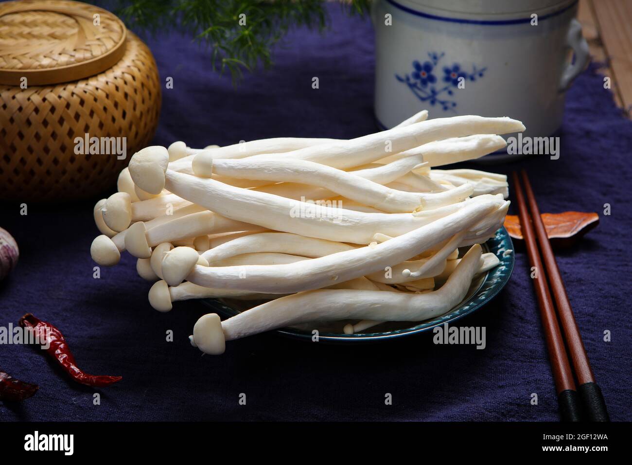 Sea mushroom hi-res stock photography and images - Alamy