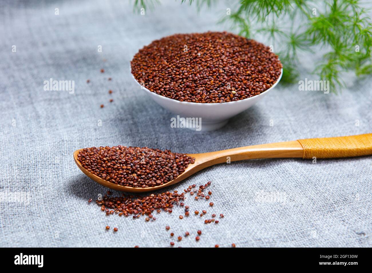 Quinoa plant container hi-res stock photography and images - Alamy