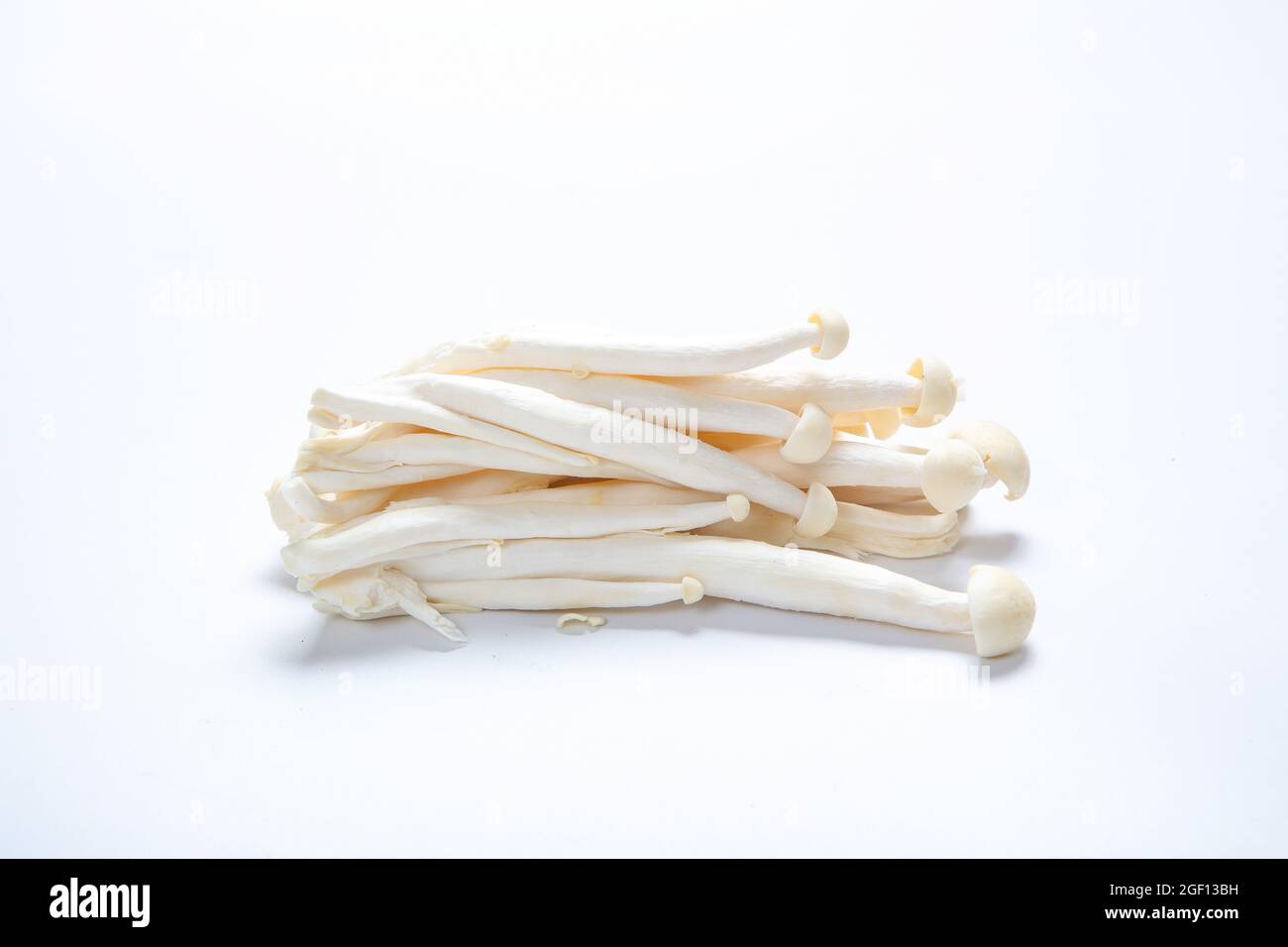 Sea mushroom hi-res stock photography and images - Alamy