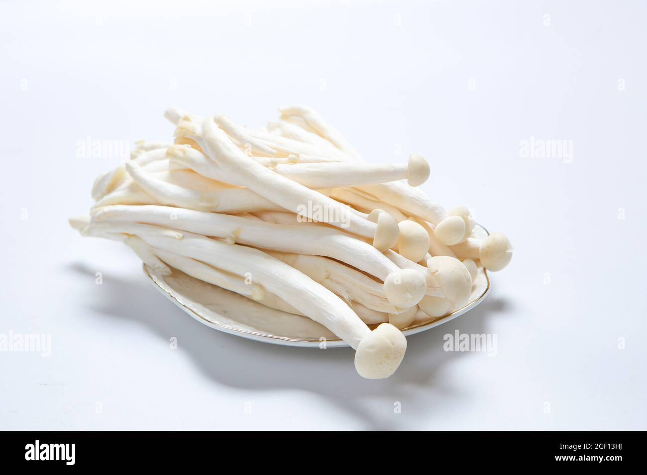 Sea mushroom hi-res stock photography and images - Alamy