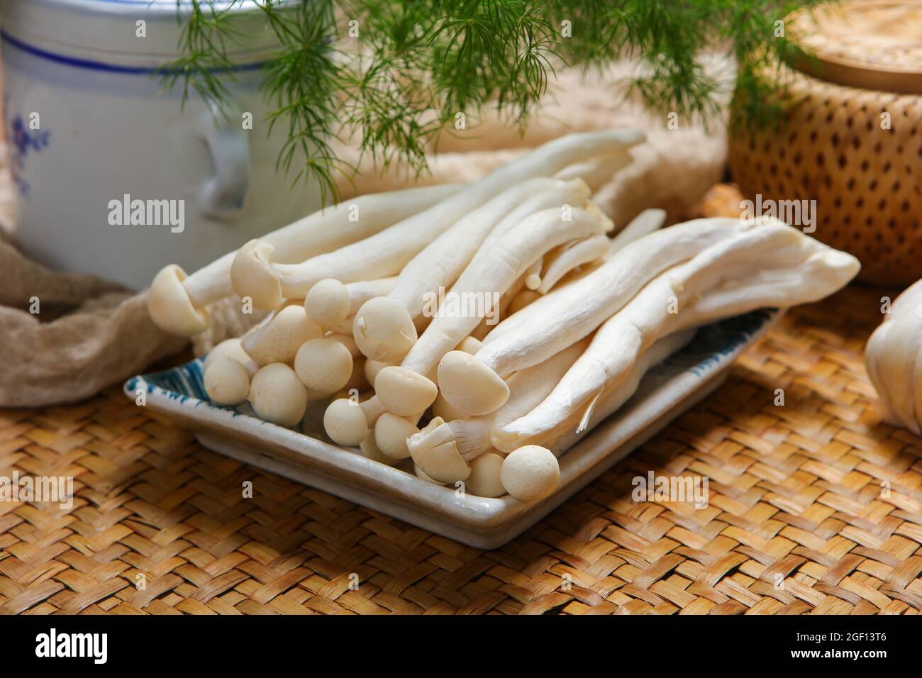 Sea mushroom hi-res stock photography and images - Alamy