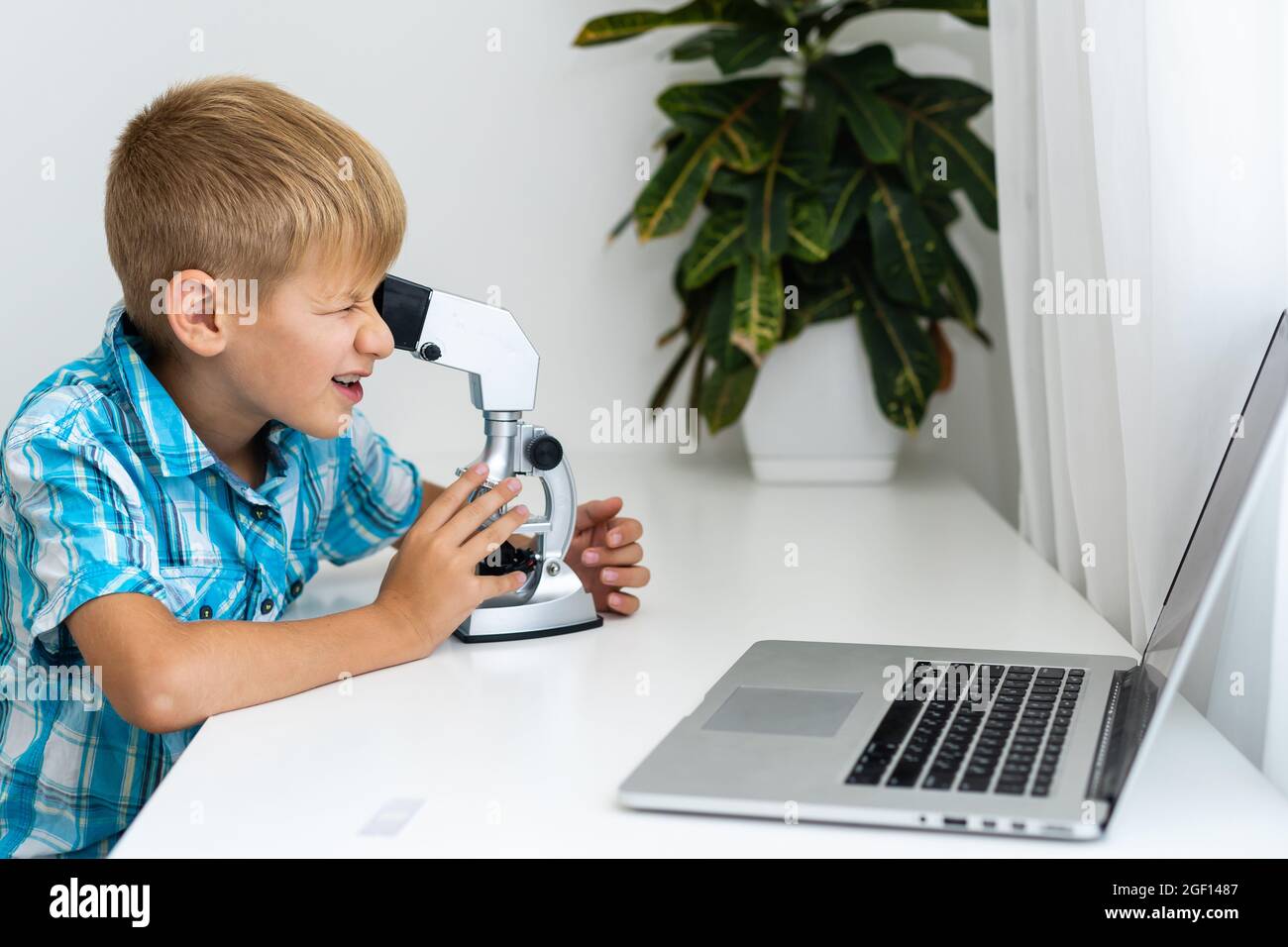 Children in classroom - work with microscope Stock Photo - Alamy