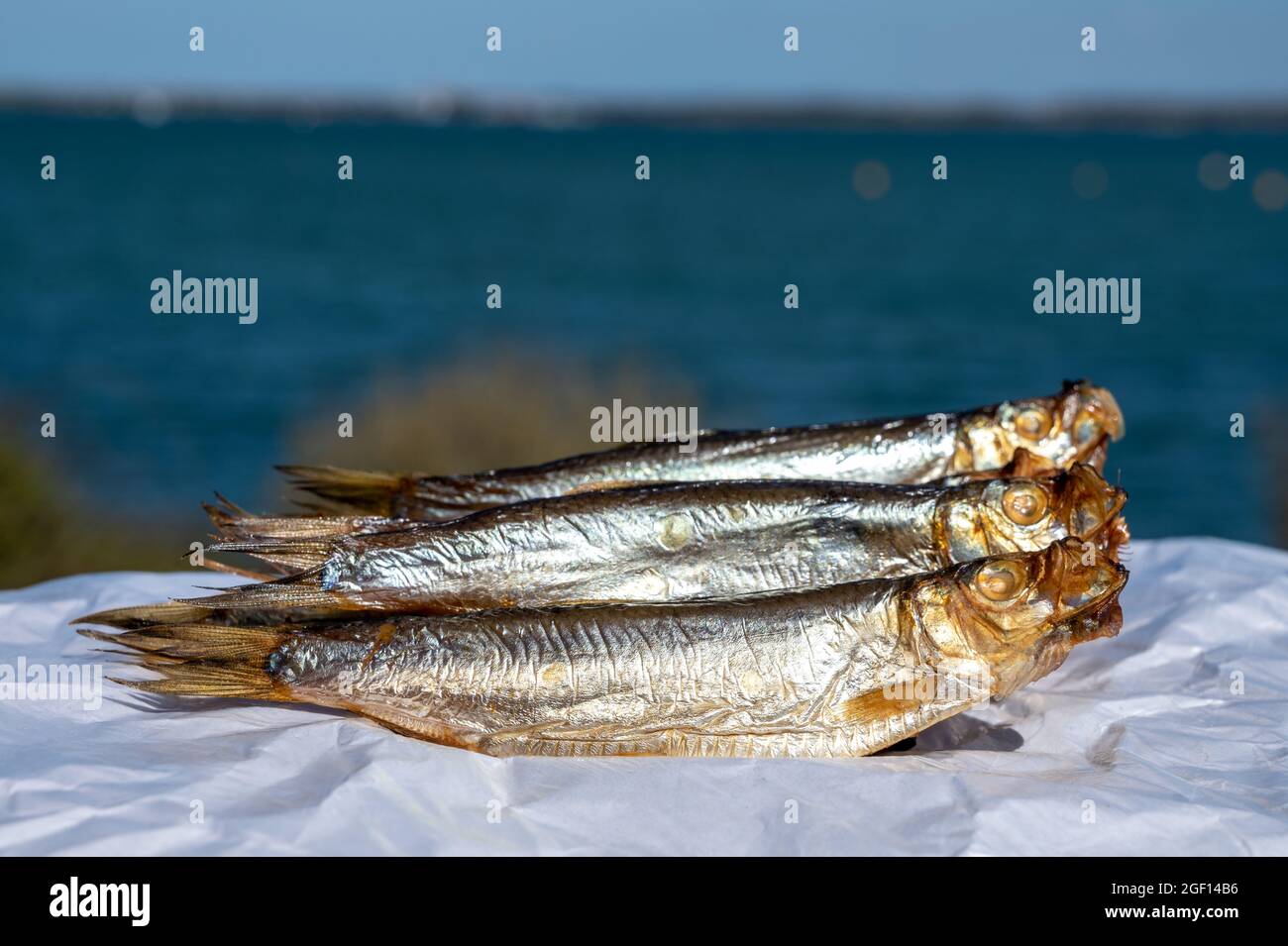 Smoked sprattus or sprats sea fish served outdoor with view on blue sea ...