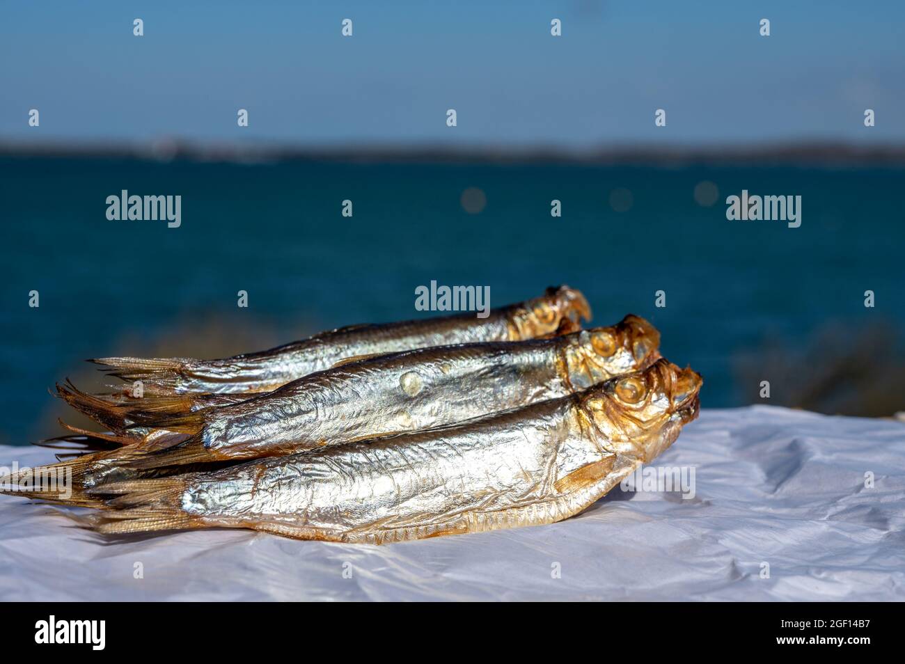 Smoked sprattus or sprats sea fish served outdoor with view on blue sea ...
