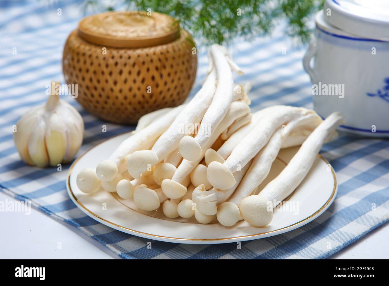 Sea mushroom hi-res stock photography and images - Alamy