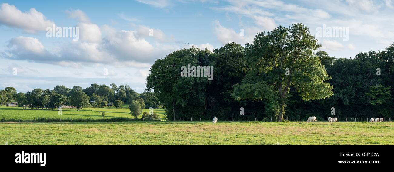 Rouen Park High Resolution Stock Photography and Images - Alamy