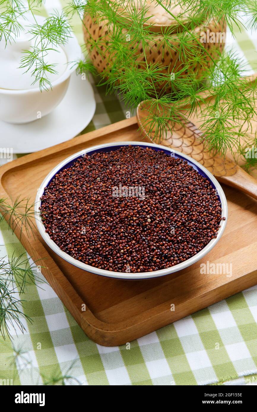 Quinoa plant container hi-res stock photography and images - Alamy