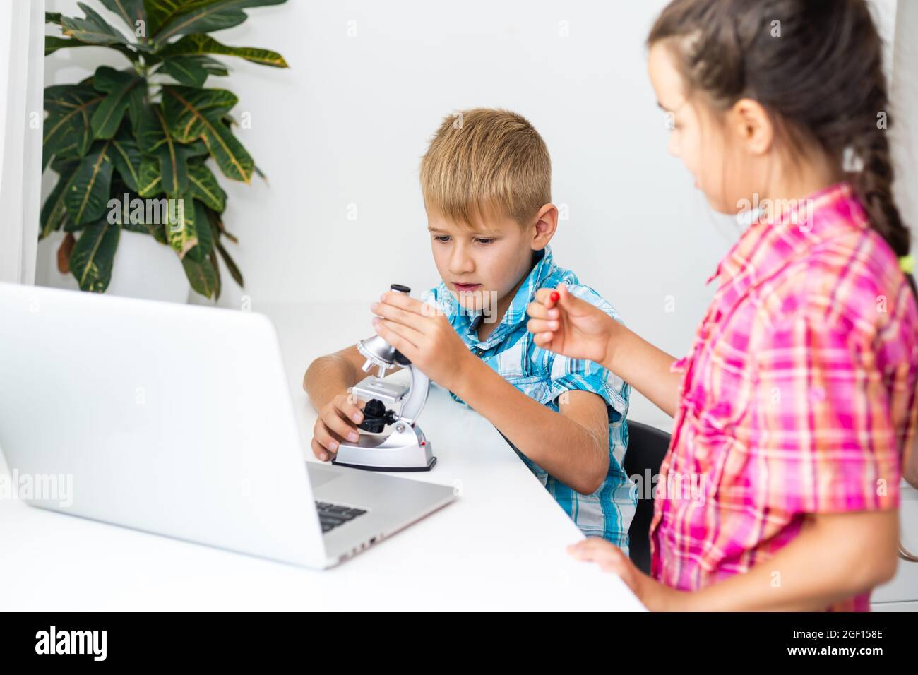 Kids playing with laptop computer at home Stock Photo - Alamy