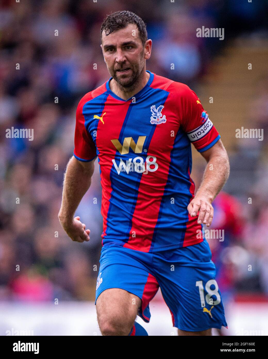 James McArthur of Crystal Palace during the Premier League match ...