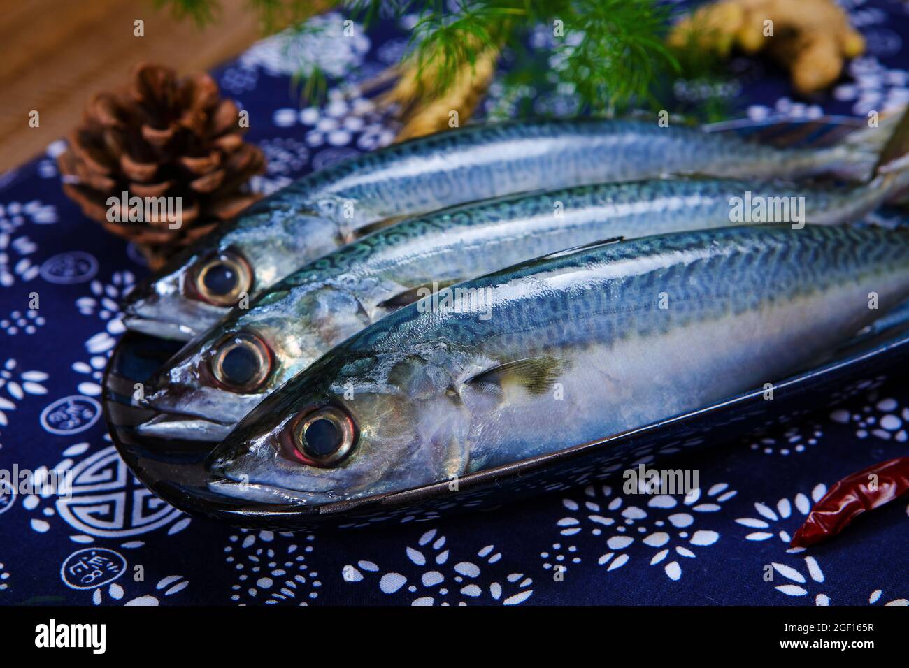 Little fairy fish Stock Photo - Alamy