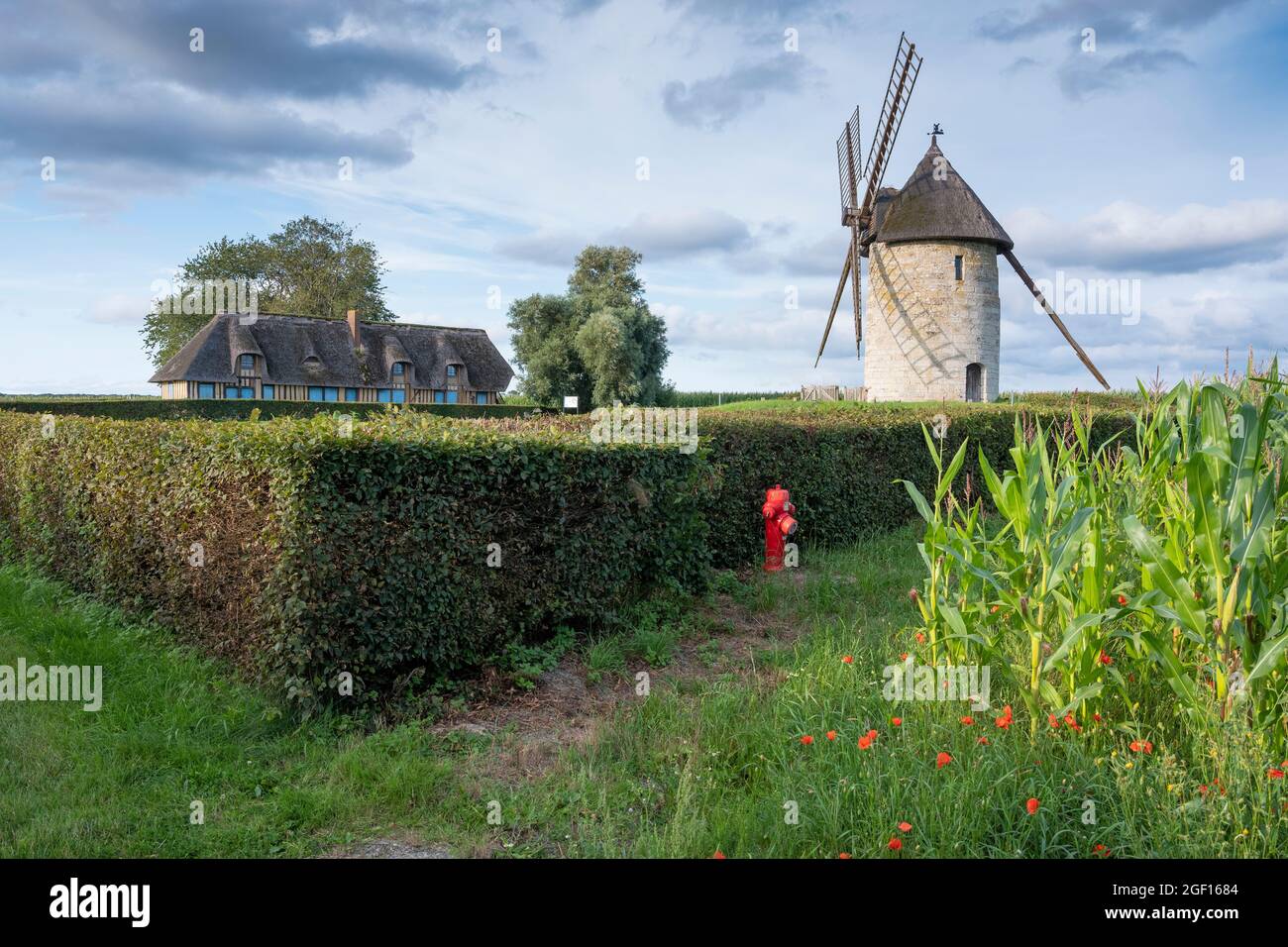 old windmill and traditional farm in french normandy under blue summer ...