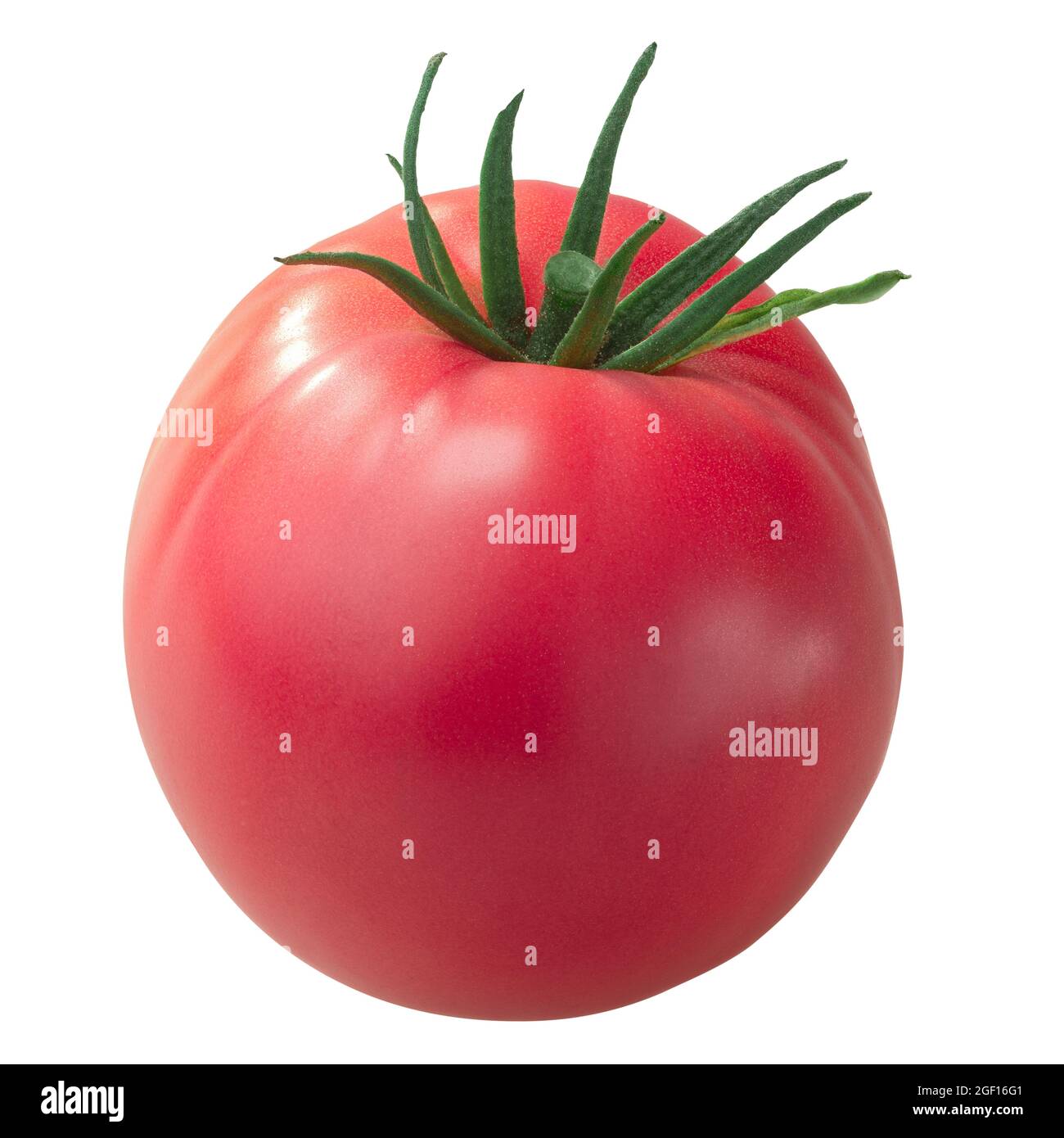 Odessky rozovy heirloom tomato (Solanum lycopersicum fruit) isolated ...