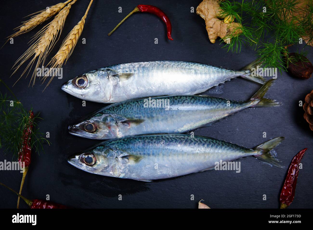 Little fairy fish Stock Photo - Alamy