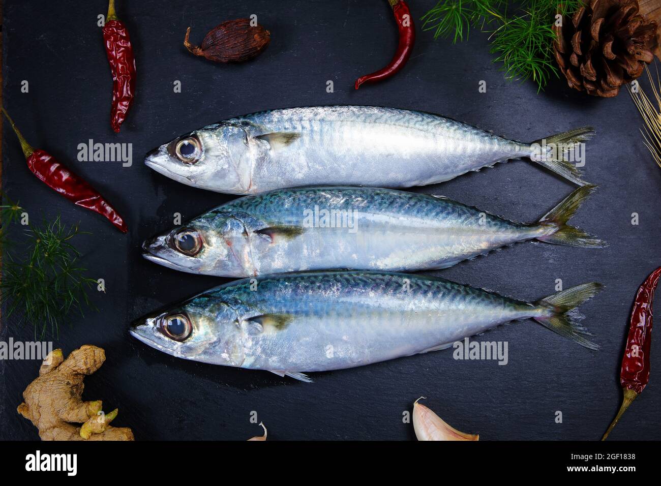 Little fairy fish Stock Photo - Alamy