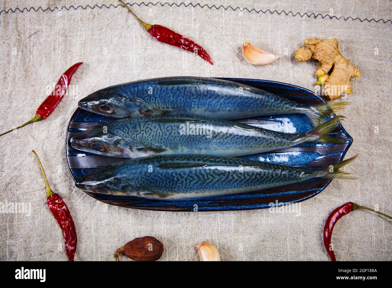 Little fairy fish Stock Photo - Alamy