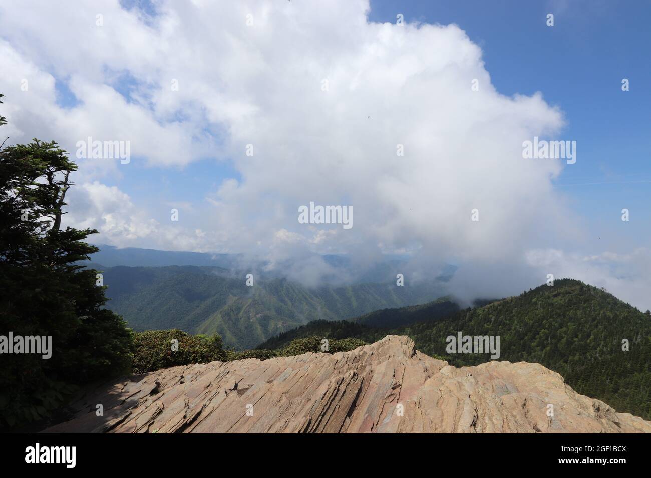 View from the top Stock Photo - Alamy