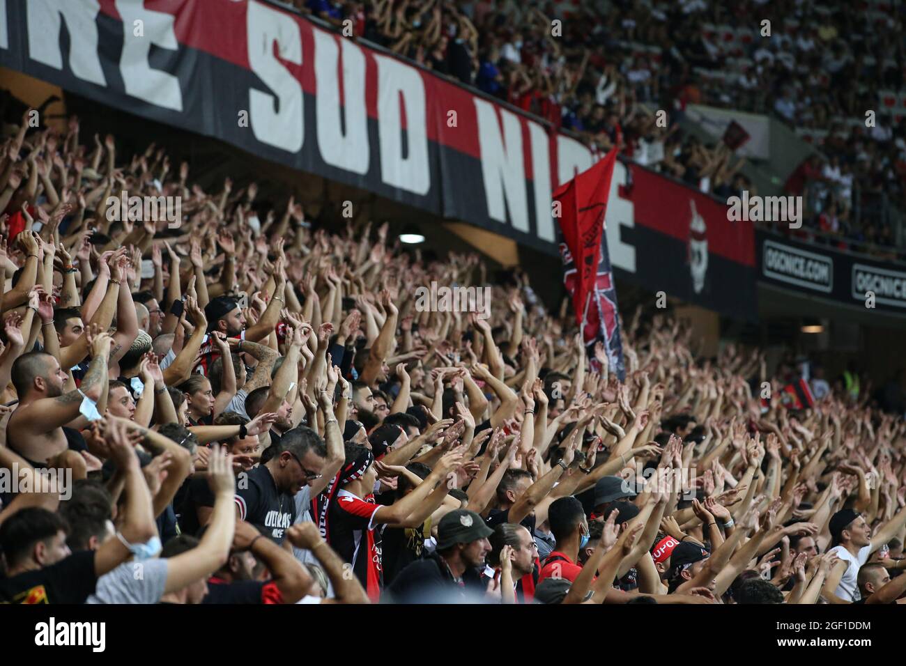 Nice ogc fans hi-res stock photography and images - Alamy