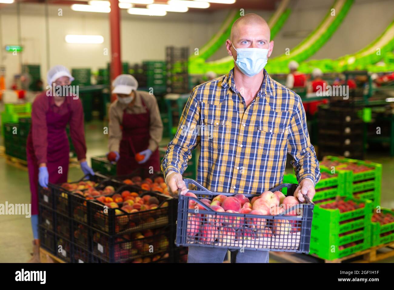Man and young woman in masks working in sorting room Stock Photo - Alamy