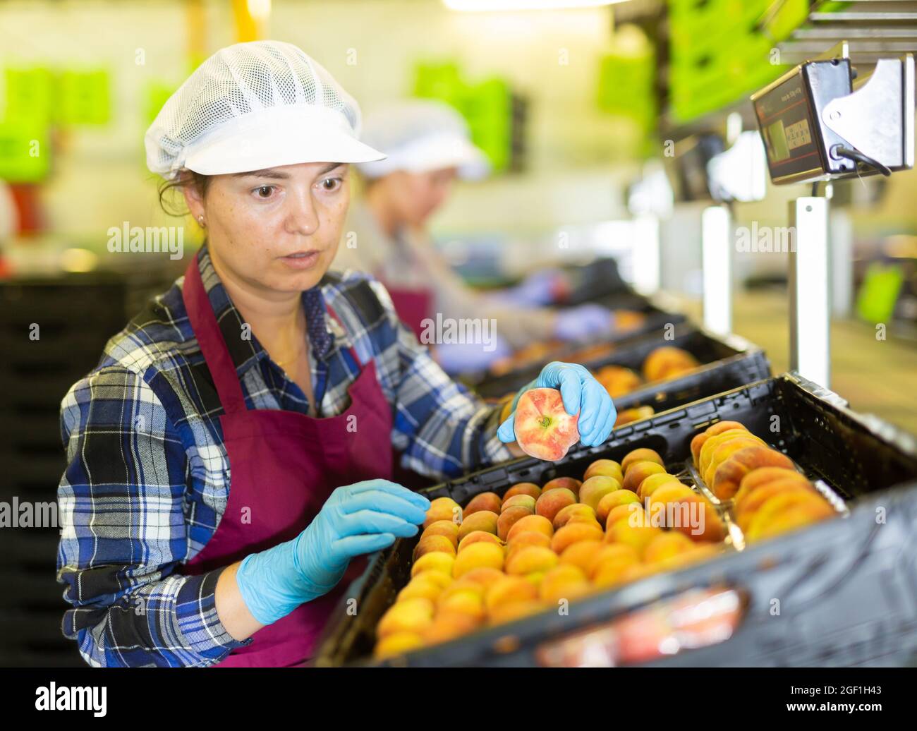 European female employee working Stock Photo - Alamy
