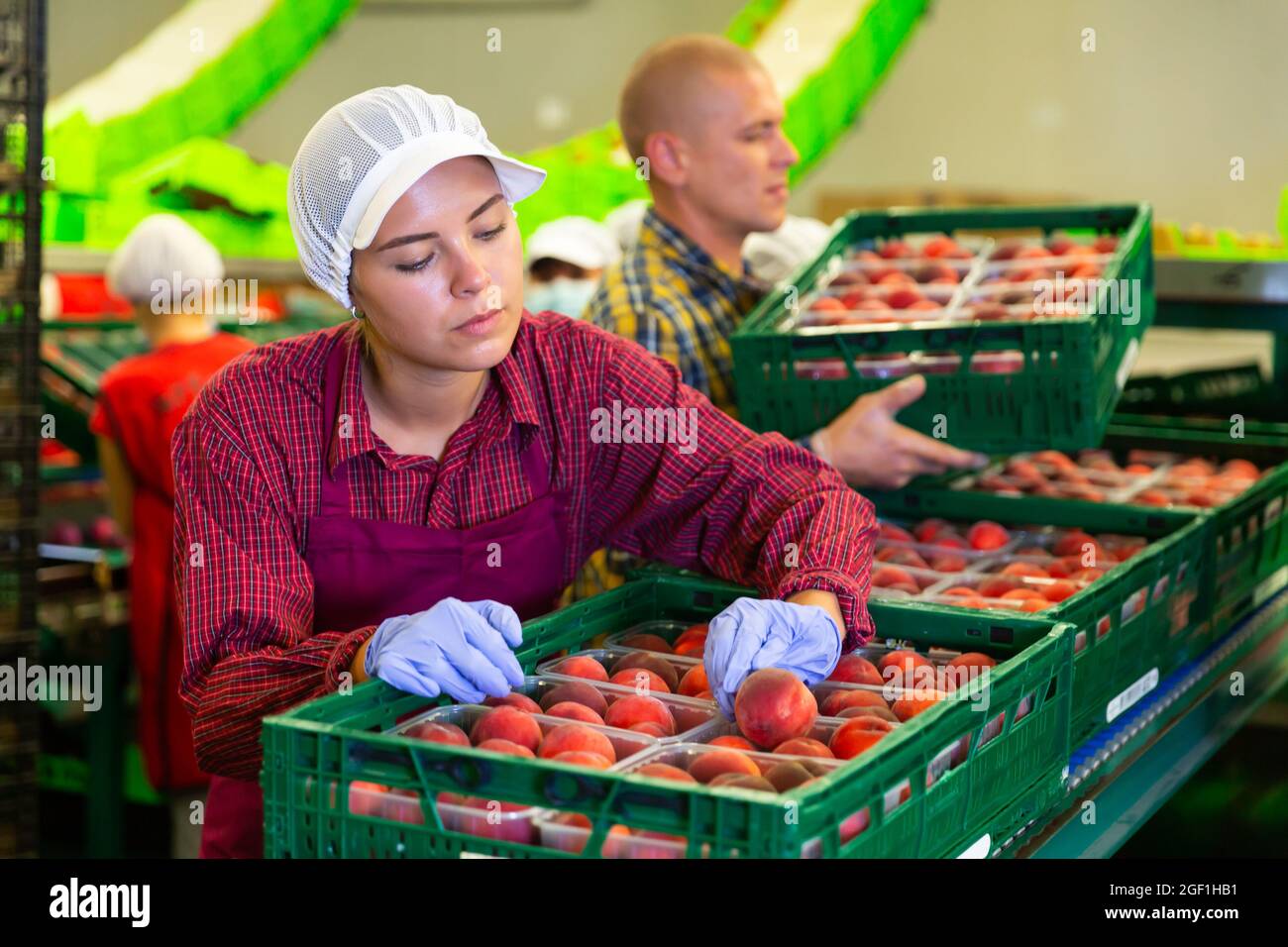 American fruit packing hi-res stock photography and images - Alamy