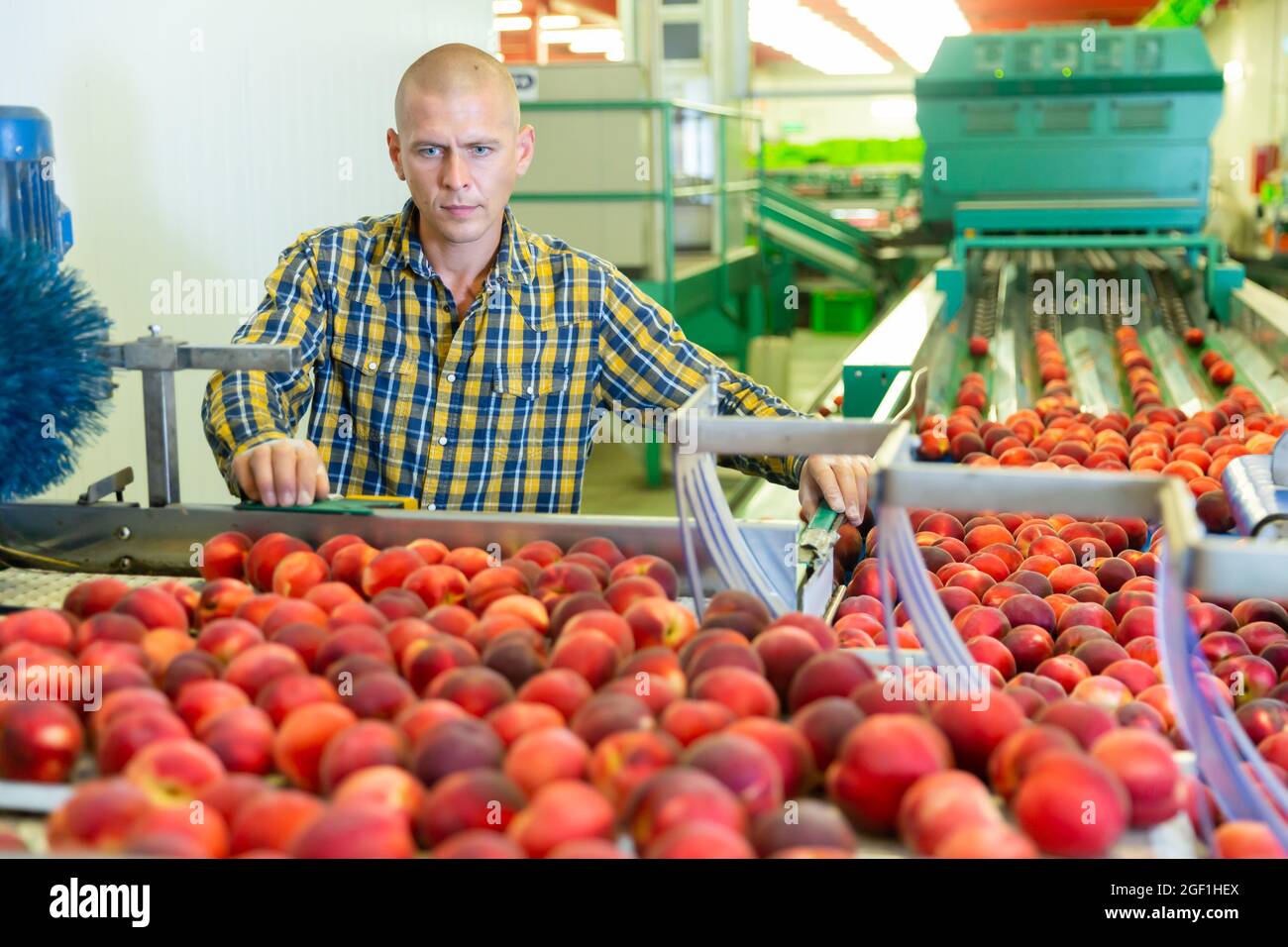 Man standing beside conveyor Stock Photo - Alamy