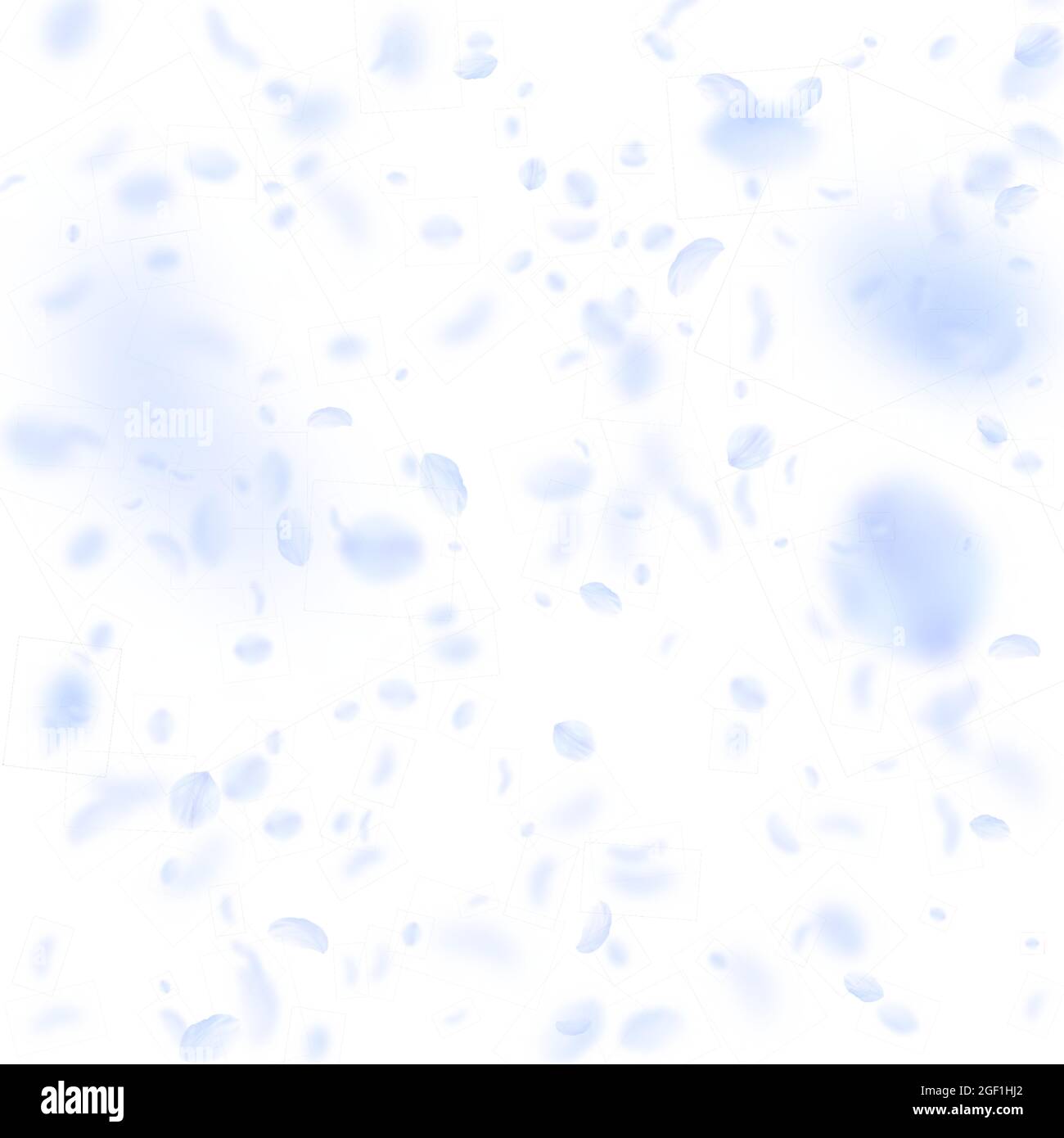 Light blue flower petals falling down. Gorgeous romantic flowers ...