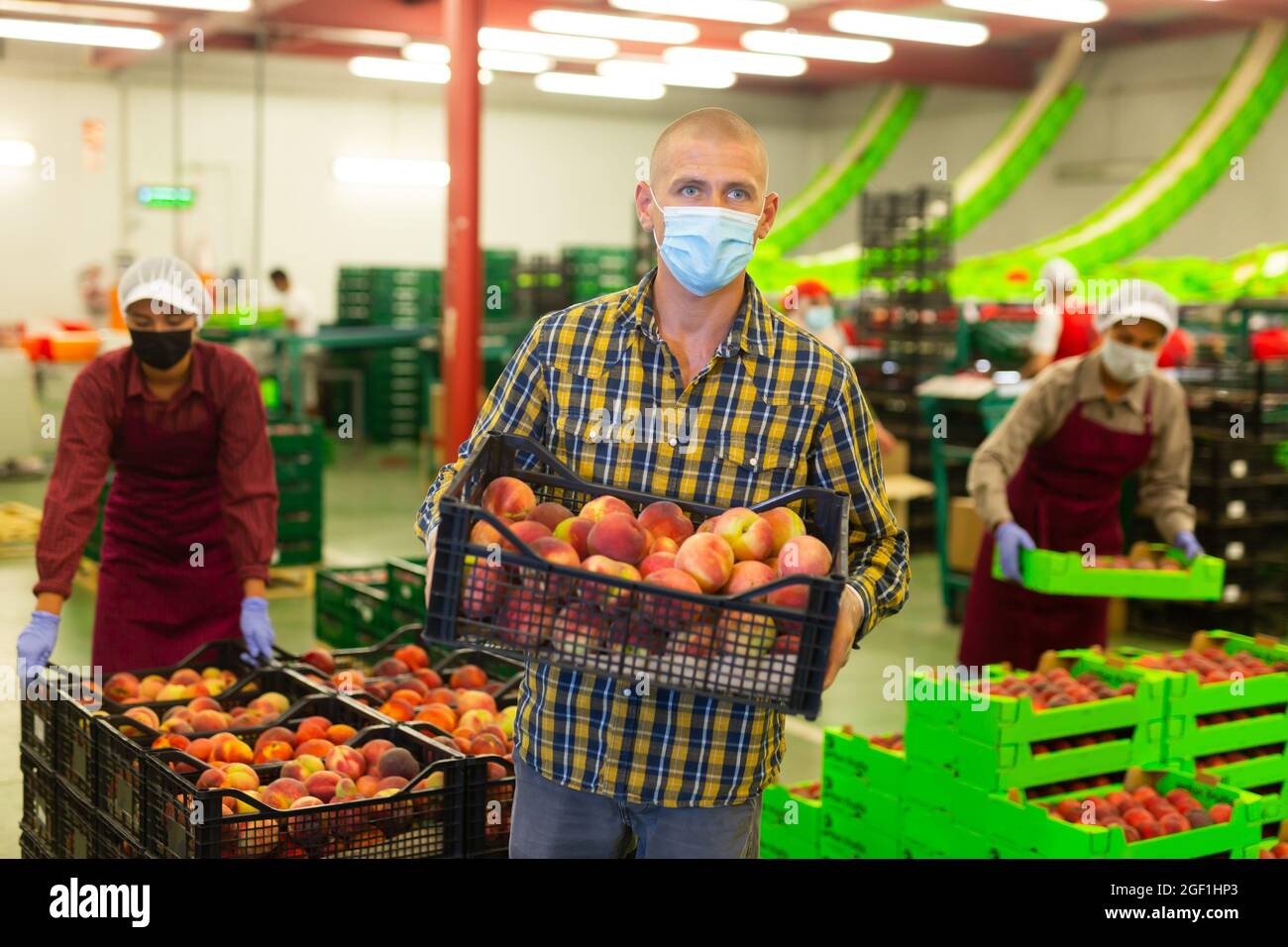 Man and young woman in masks working in sorting room Stock Photo - Alamy